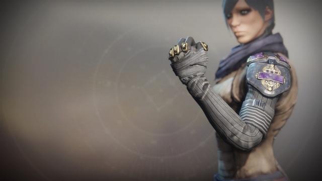 Opulent Stalker Hunter Armor Set - Destiny 2 Wiki