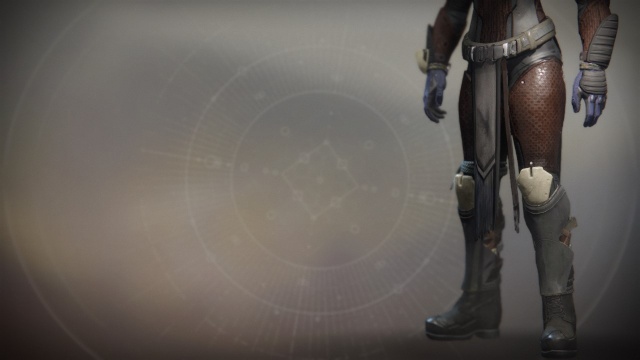 Renegade Armor Set - Destiny 2 Wiki