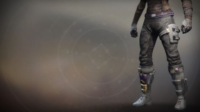 Opulent Stalker Hunter Armor Set - Destiny 2 Wiki